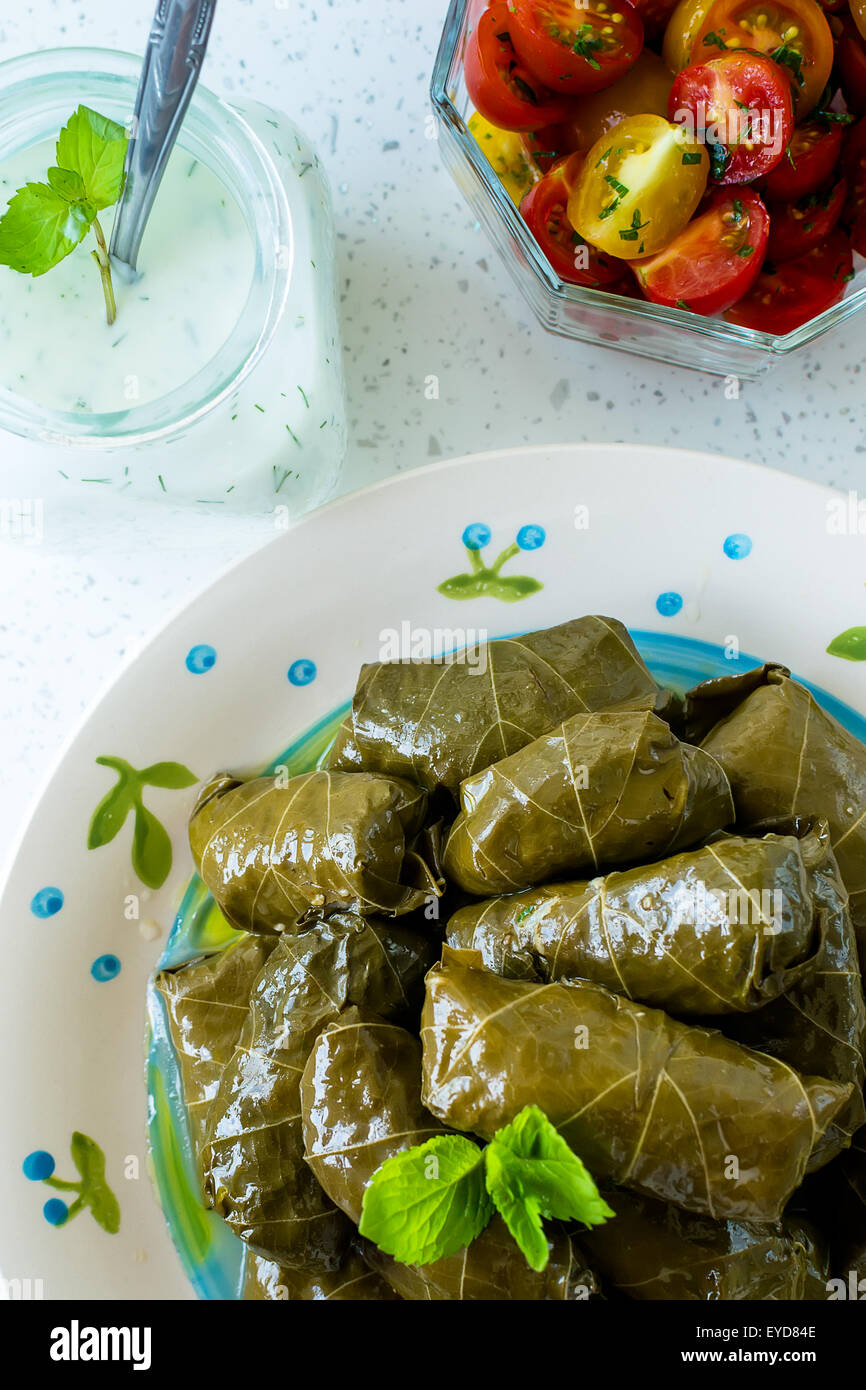 Traditional Bulgarian homemade stuffed vine leaves with rice and ...