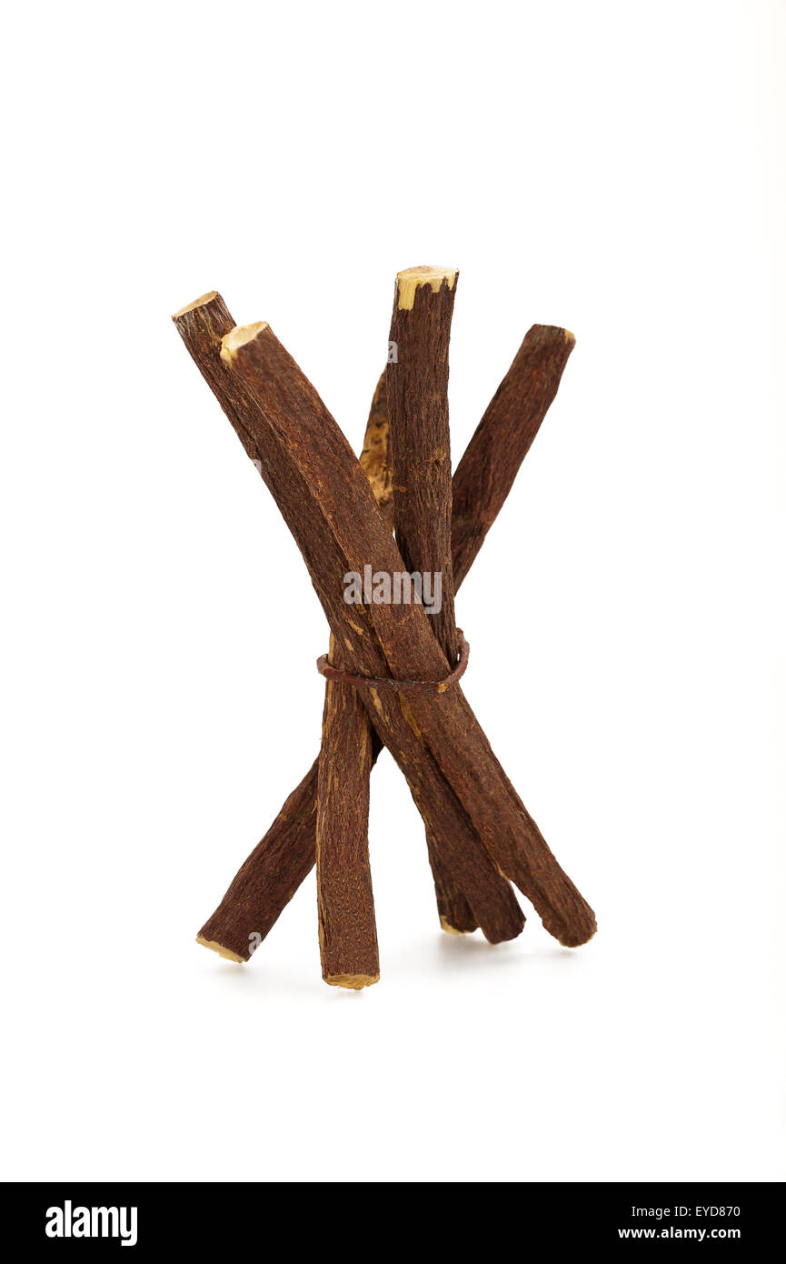 Tree isolated roots hi-res stock photography and images - Alamy