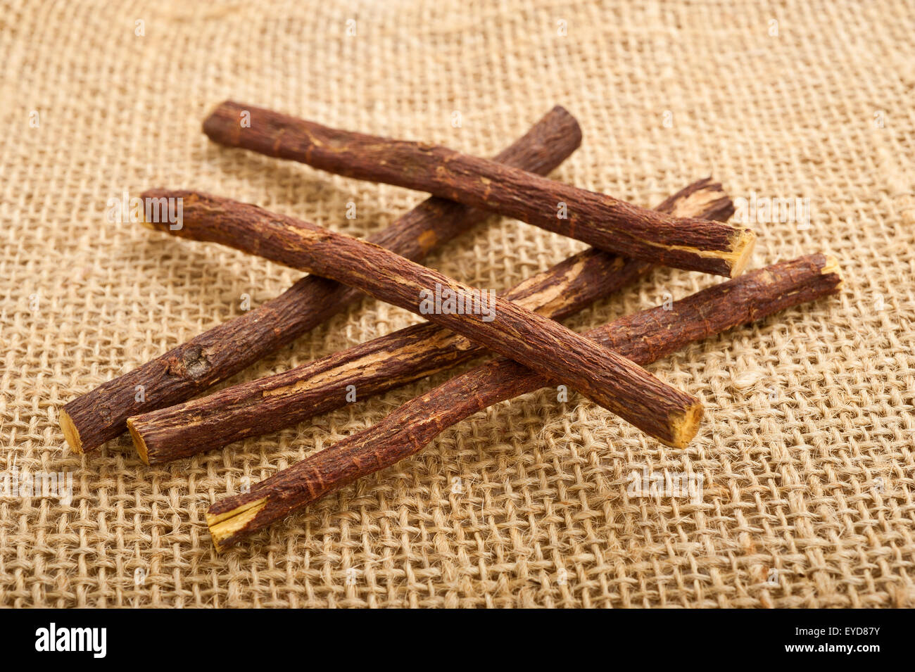 Chinese tree roots hi-res stock photography and images - Alamy