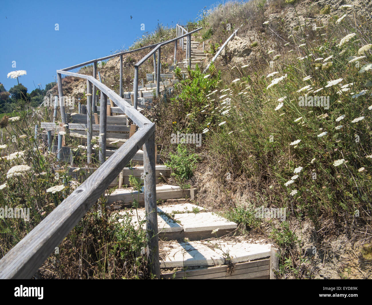 rickety steps and wild flowers up a hill side with a wobbly hand rail ...