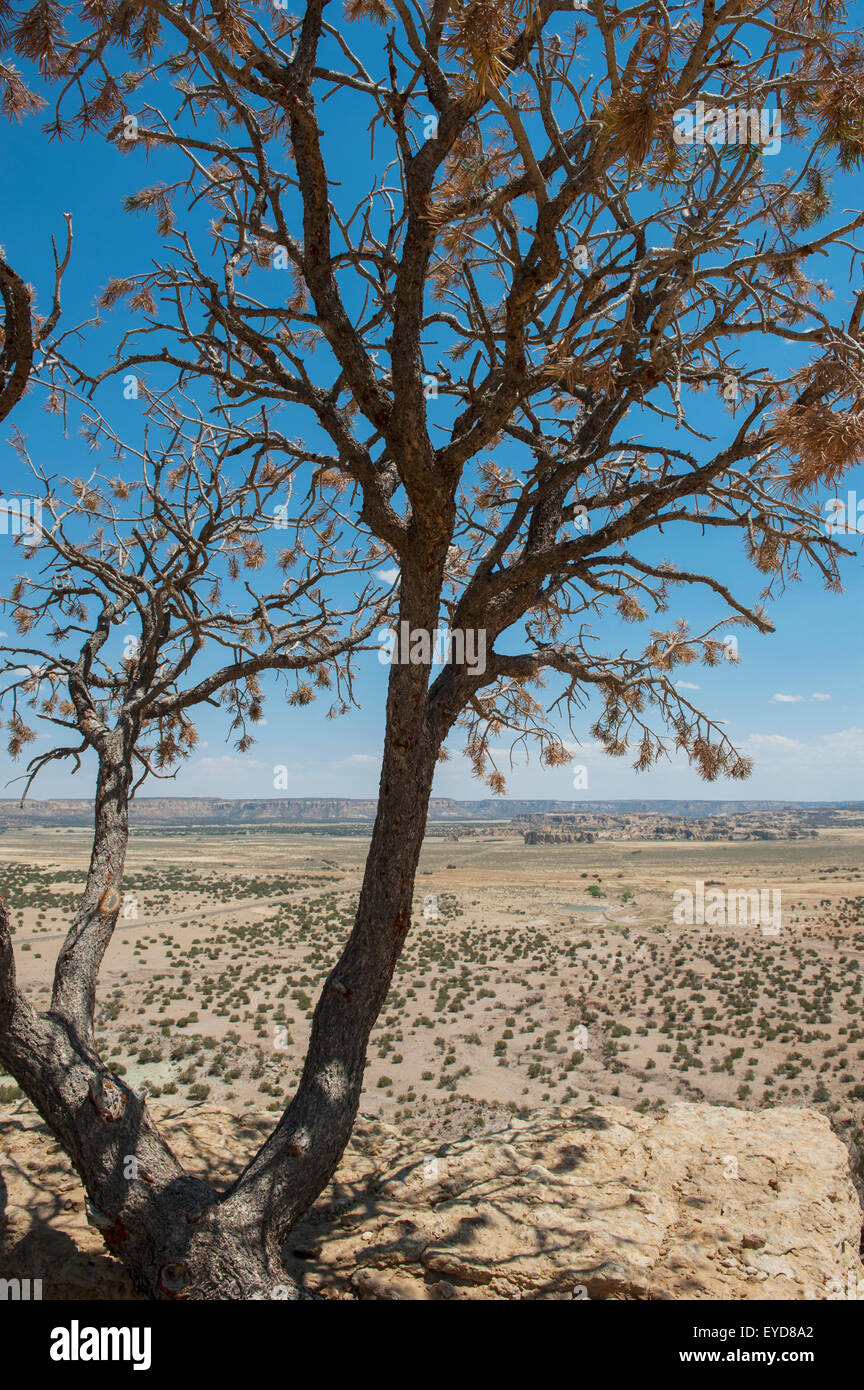 The Acoma Pueblo Built On Top Of A Sandstone Mesa, Pueblo Of Acoma, New ...