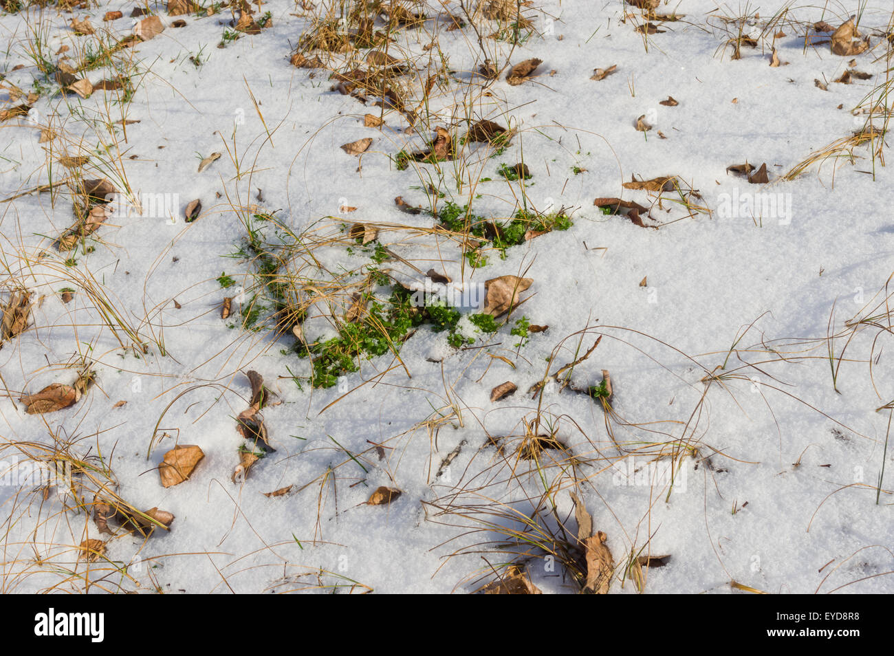 Earth covers hi-res stock photography and images - Alamy