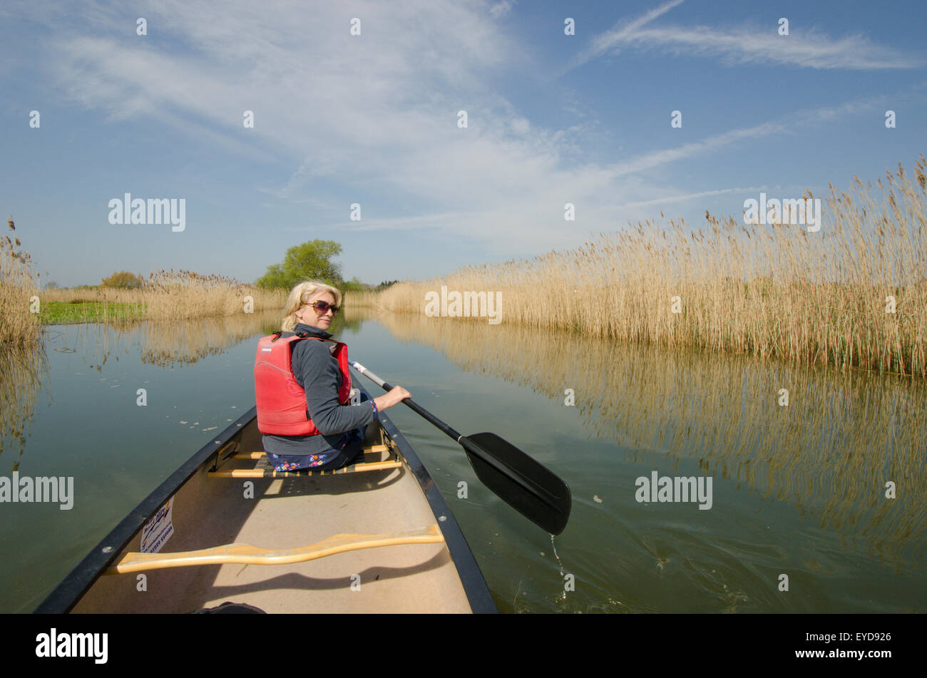Woman paddling canoe hi-res stock photography and images - Alamy