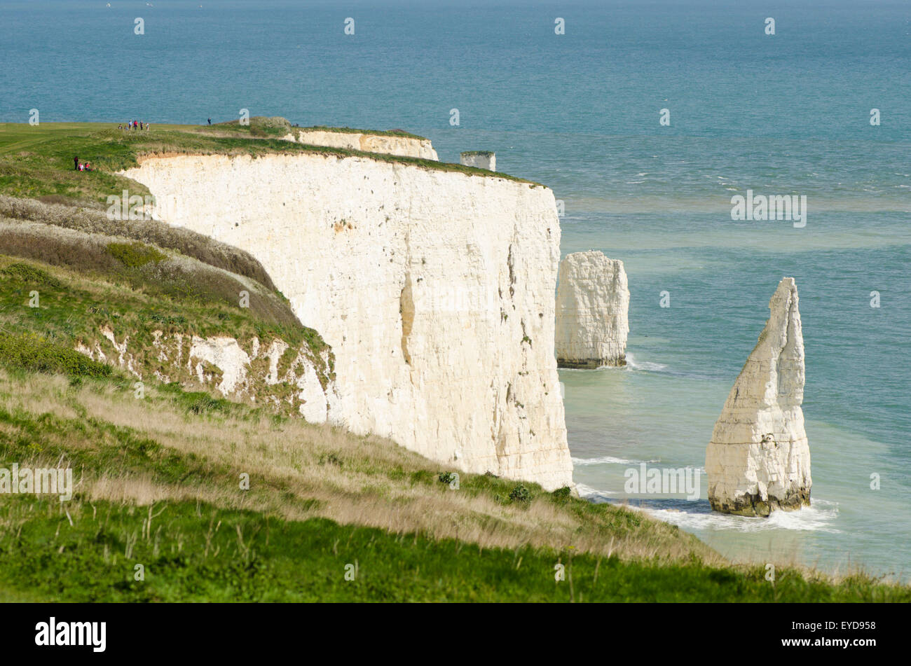White chalk cliffs near Old Harry Rock, Studland, Dorset, UK. April ...