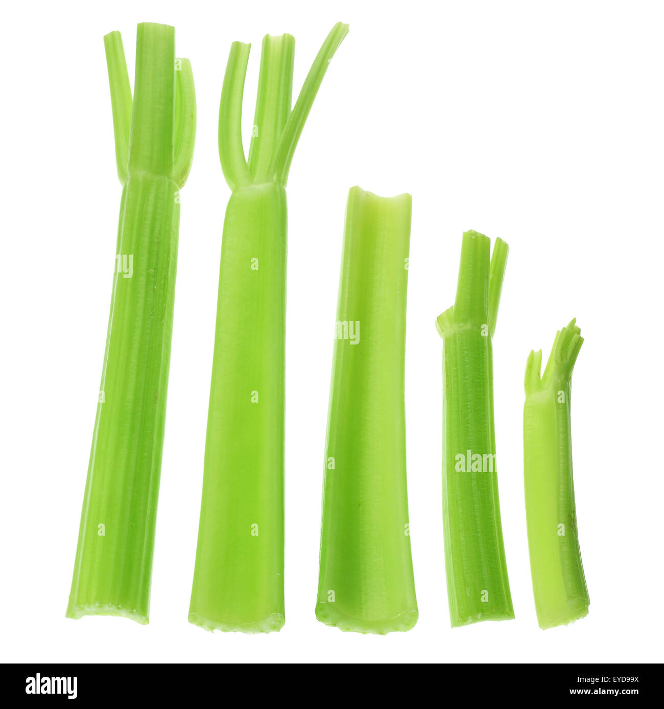 Celery row hi-res stock photography and images - Alamy