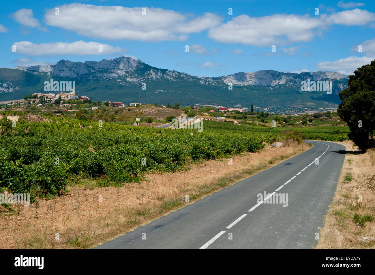Road To The Medieval Village Of Laguardia In Basque Country, Spain ...