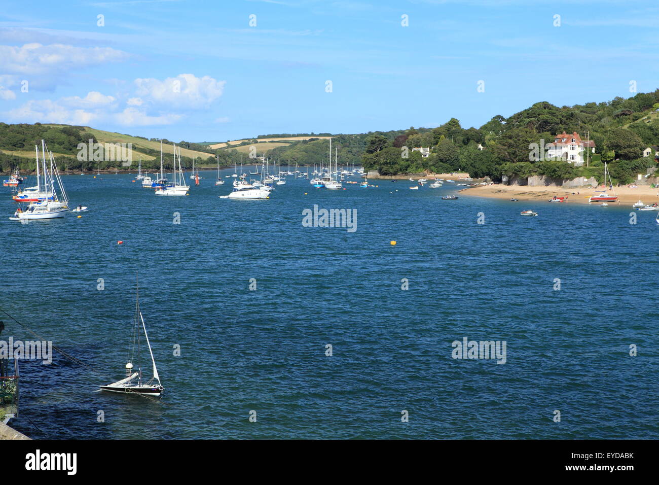 Salcombe, sunny summers day, Devon, England, UK Stock Photo - Alamy