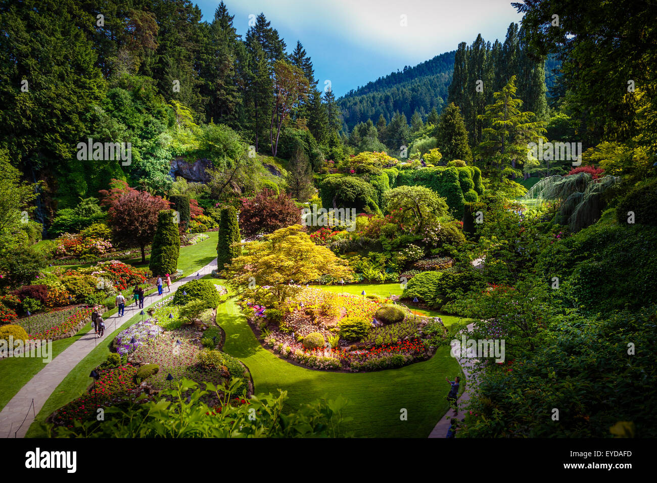 Butchart gardens hi-res stock photography and images - Alamy