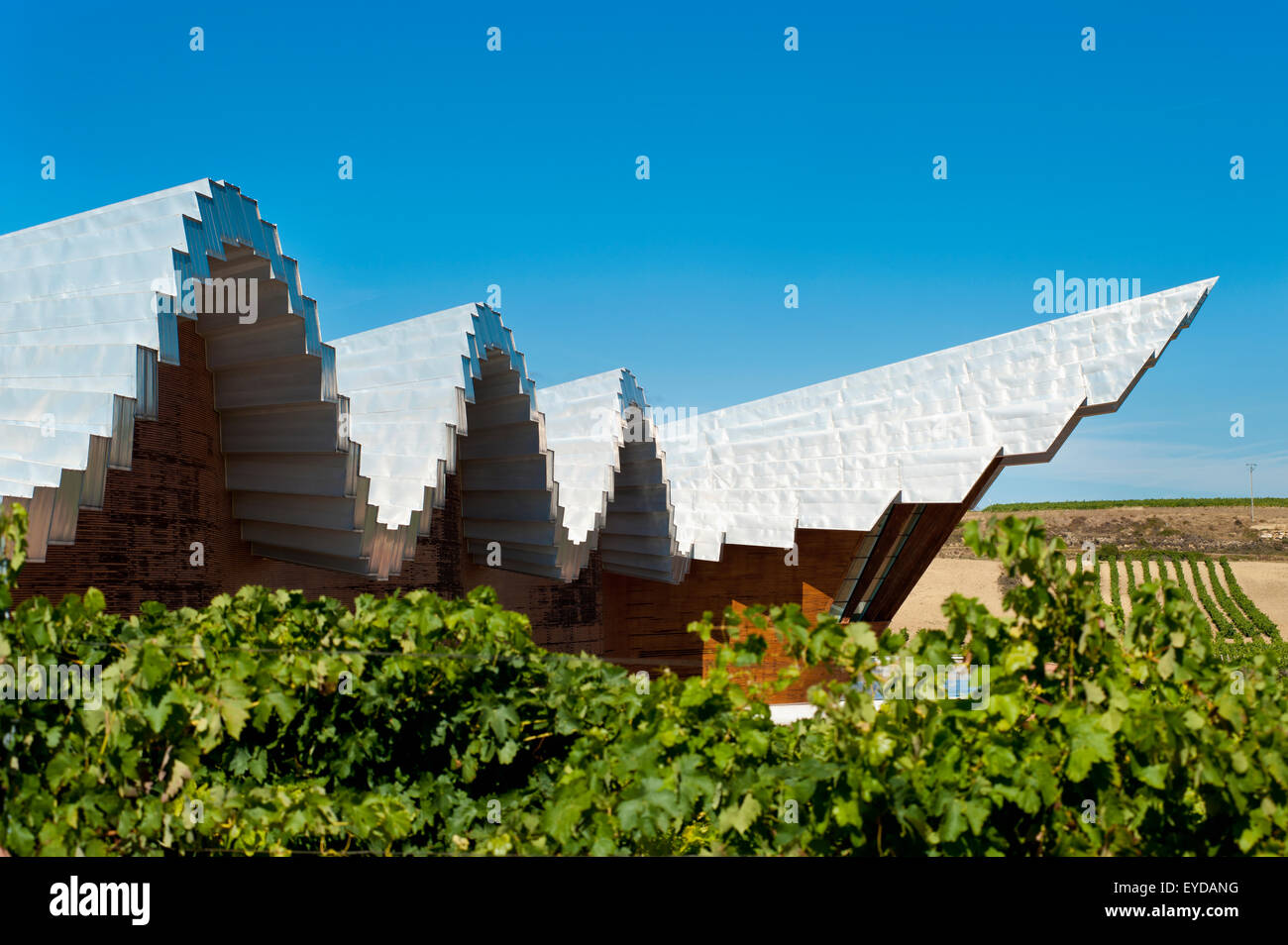 Ysios Winery Designed By Famous Spanish Architect Santiago Calatrava ...