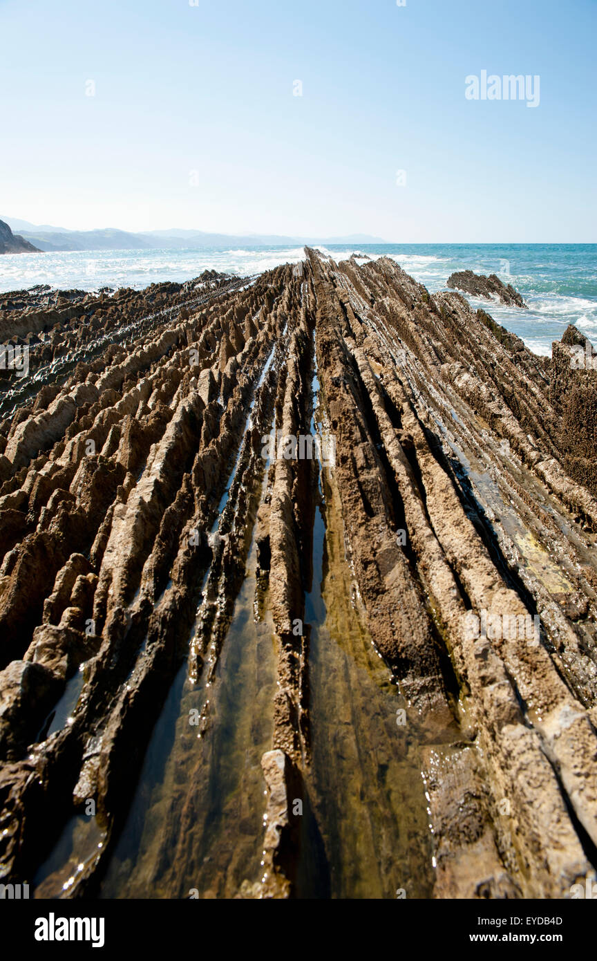 Sedimentary Rocks Known As Flysch In Itzurun Beach, Zumaia, Basque ...