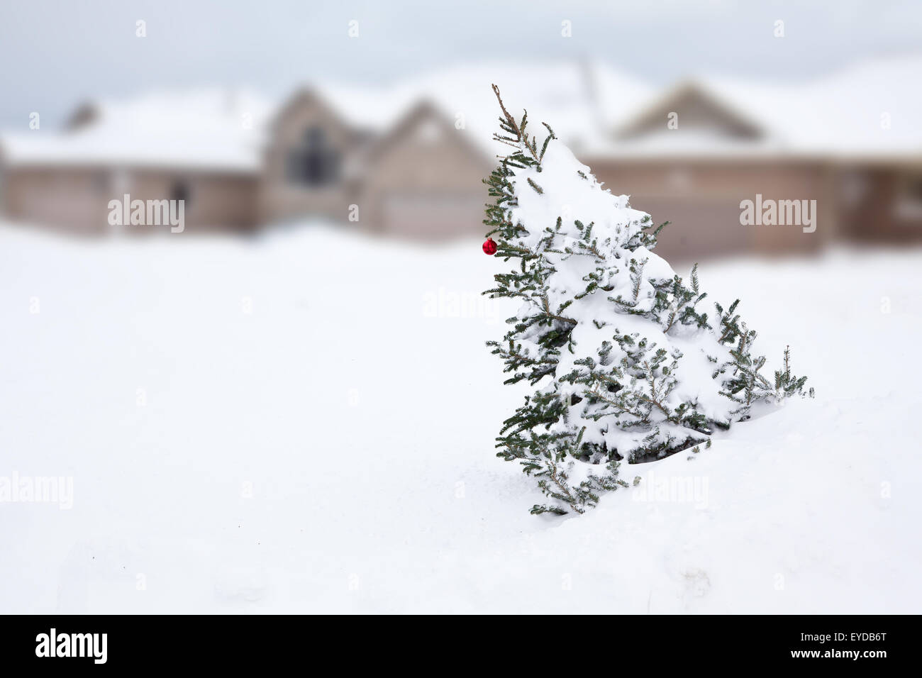 Dumped Christmas Stock Photos & Dumped Christmas Stock Images - Alamy