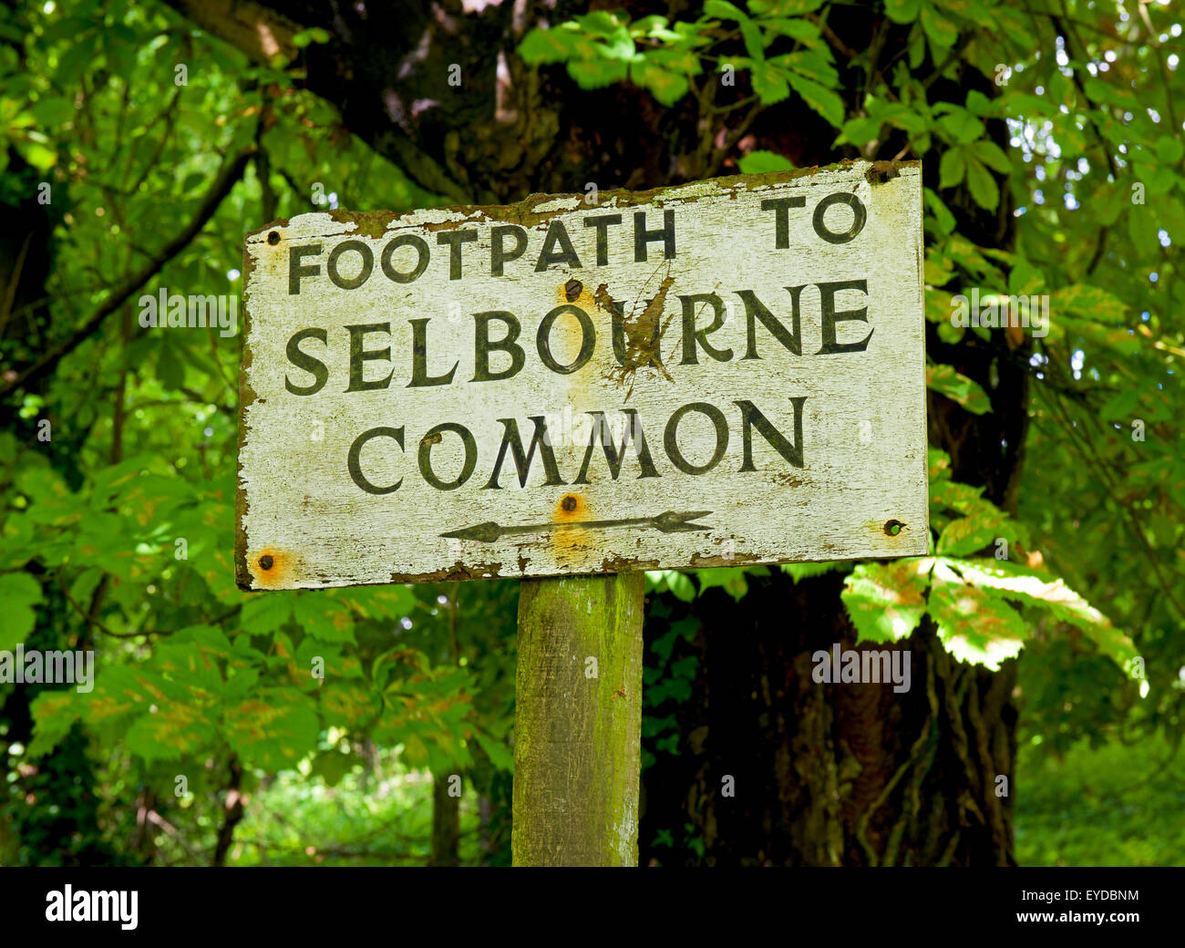 Selborne Common Hampshire High Resolution Stock Photography and Images ...