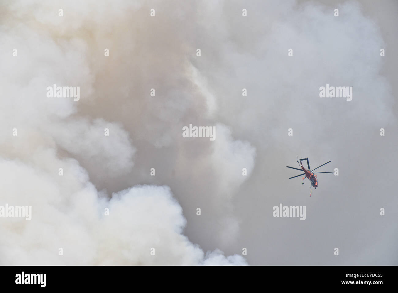 Willowfire day sp 018 jpg hi-res stock photography and images - Alamy