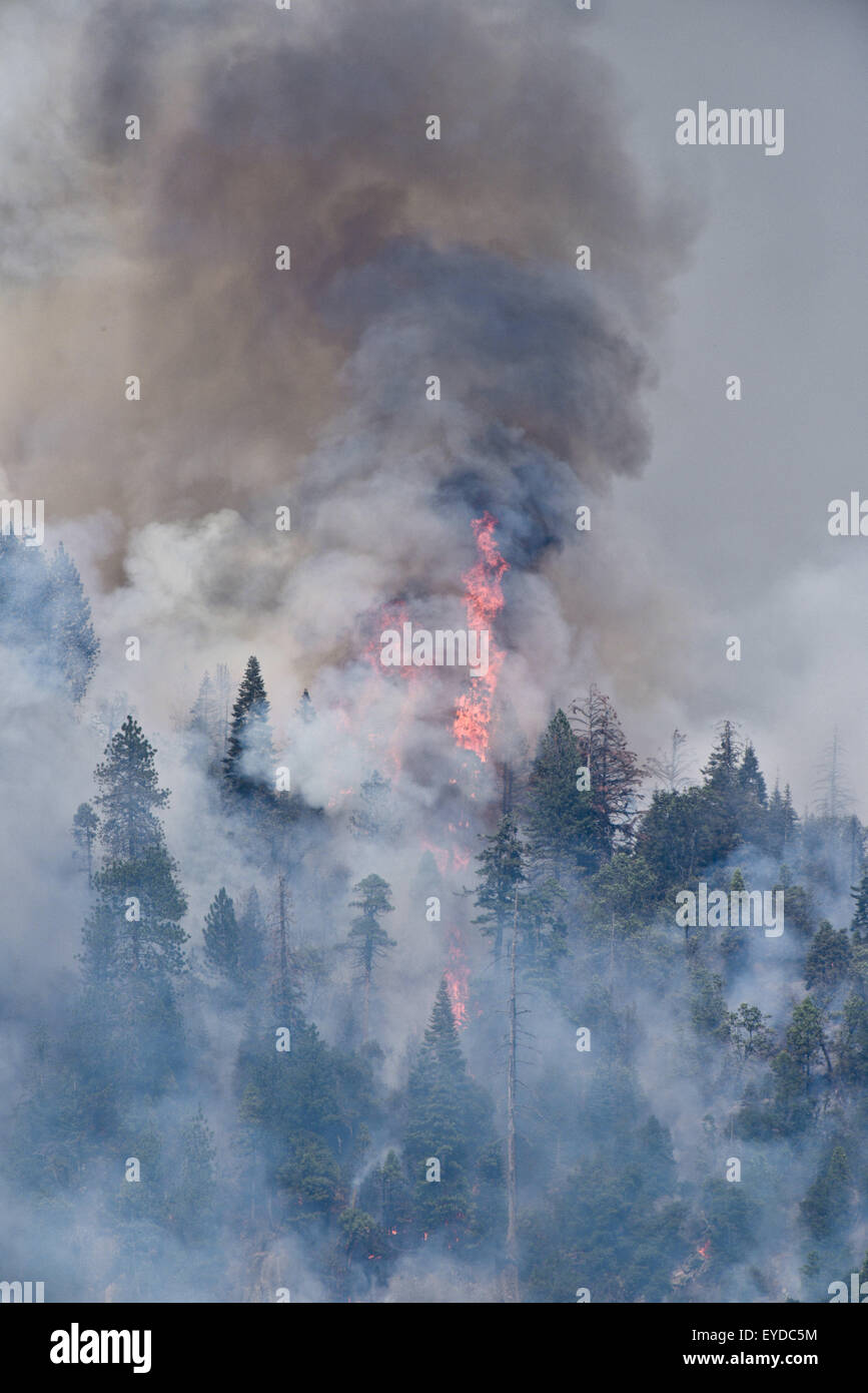 Willowfire day sp 020 jpg hi-res stock photography and images - Alamy