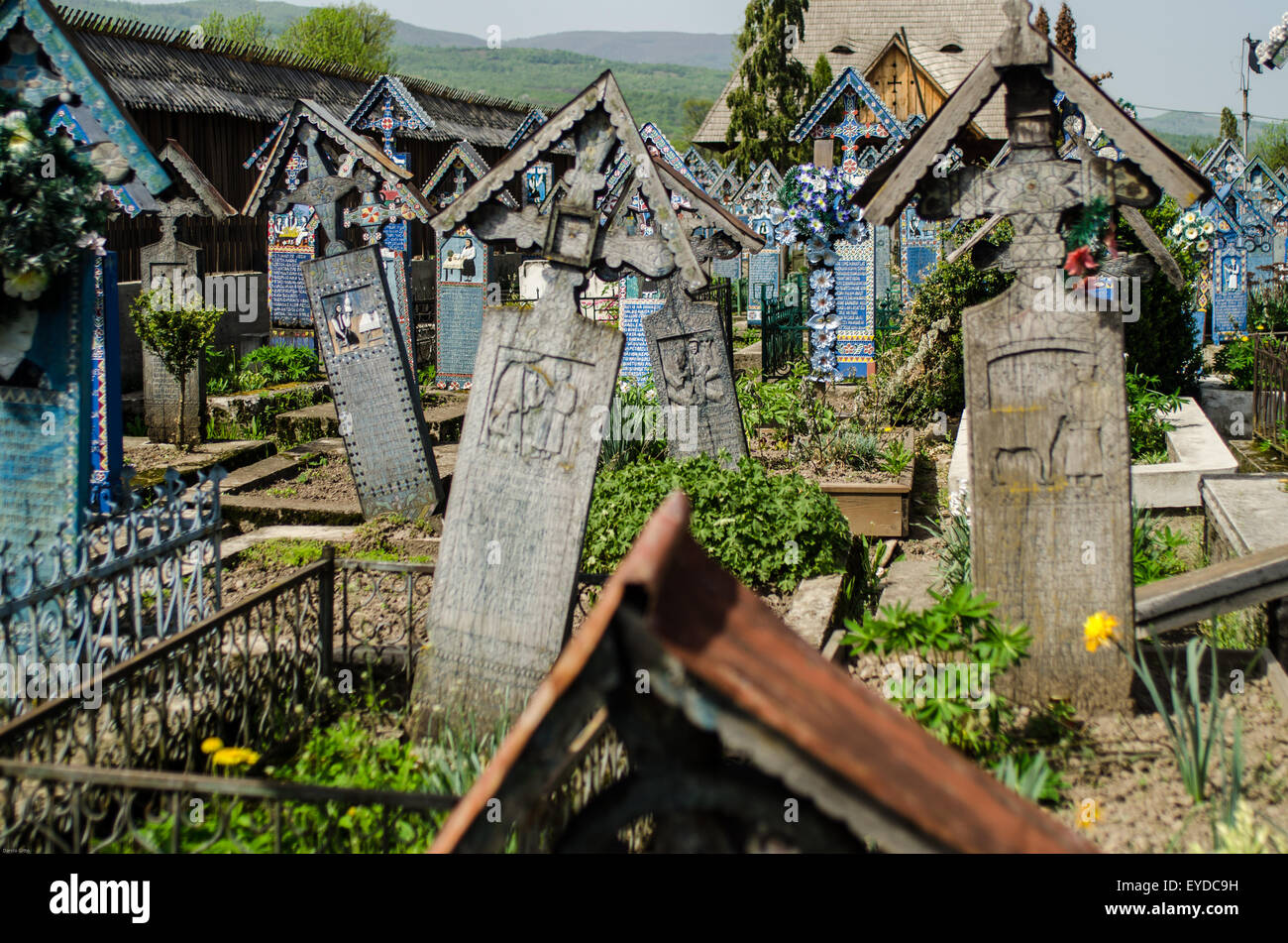 Merry Cemetery Colorful wooden crosses in unique cemetery showcasing ...