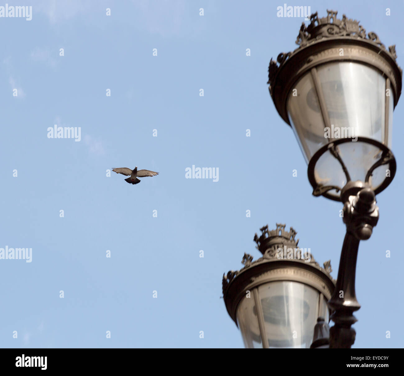 Flying lights hi-res stock photography and images - Alamy