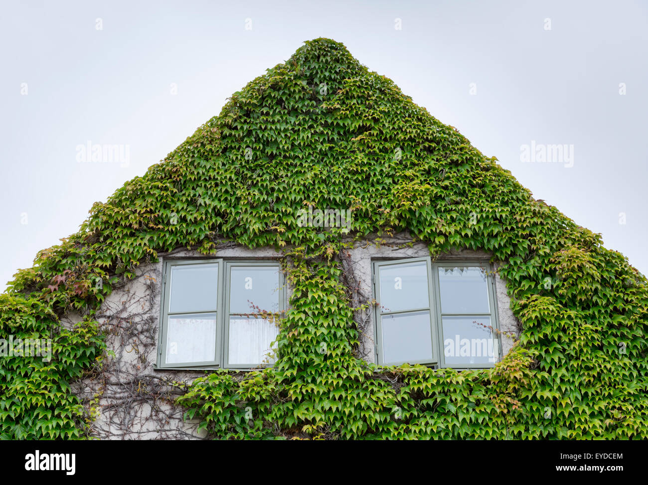 Covered in vegetation hi-res stock photography and images - Alamy