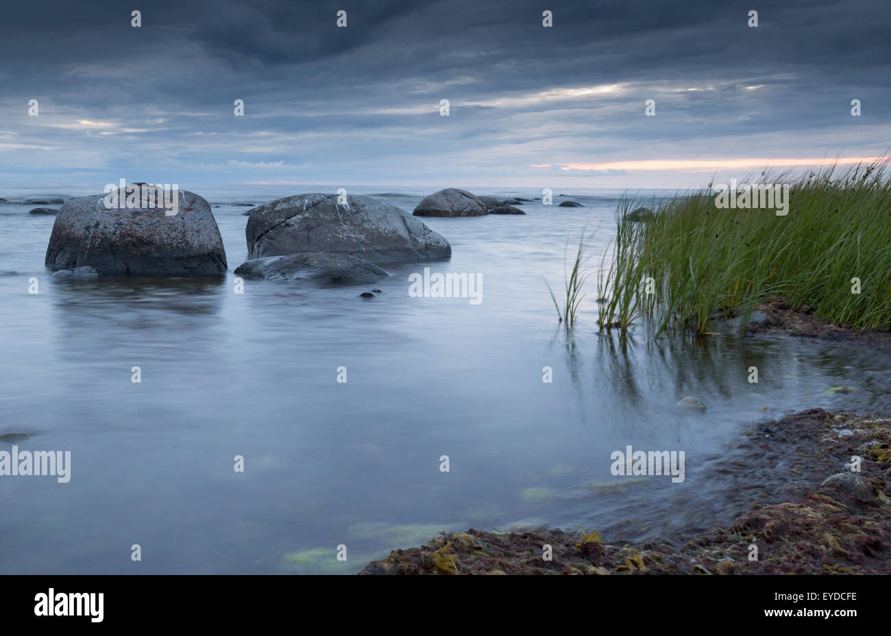 Calm ocean grass rocks hi-res stock photography and images - Alamy