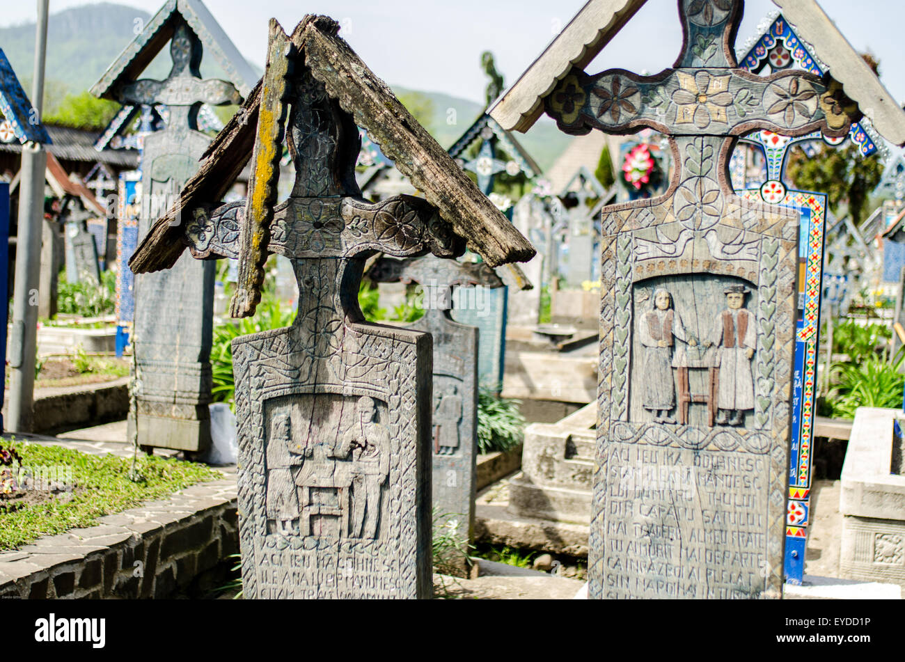 Merry Cemetery Colorful wooden crosses in unique cemetery showcasing ...