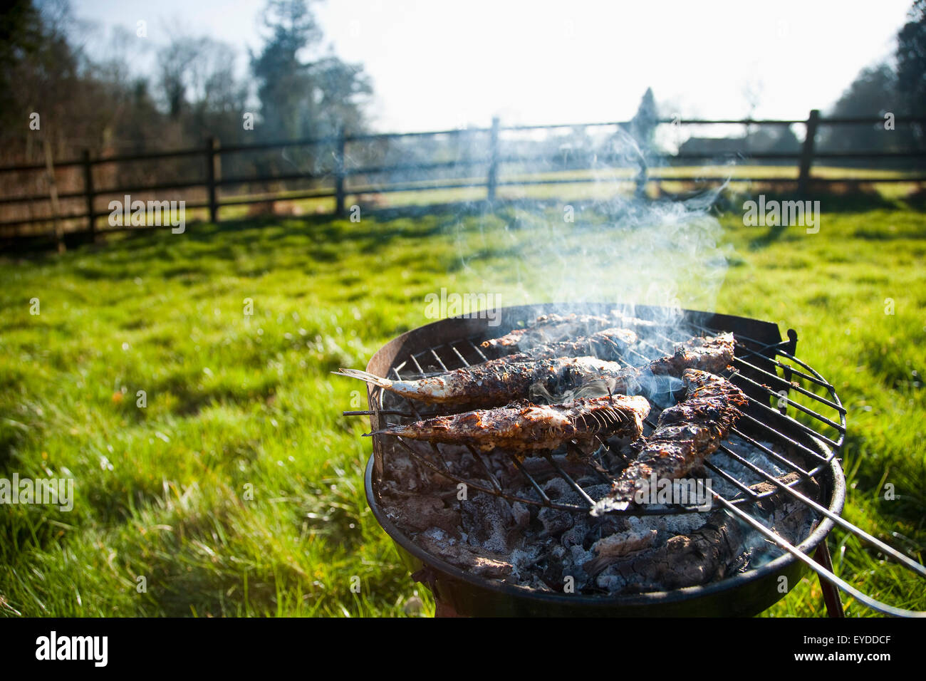 Sardines/ Cornish Pilchards, Barbecue In A Garden Of A Rural Cottage On ...