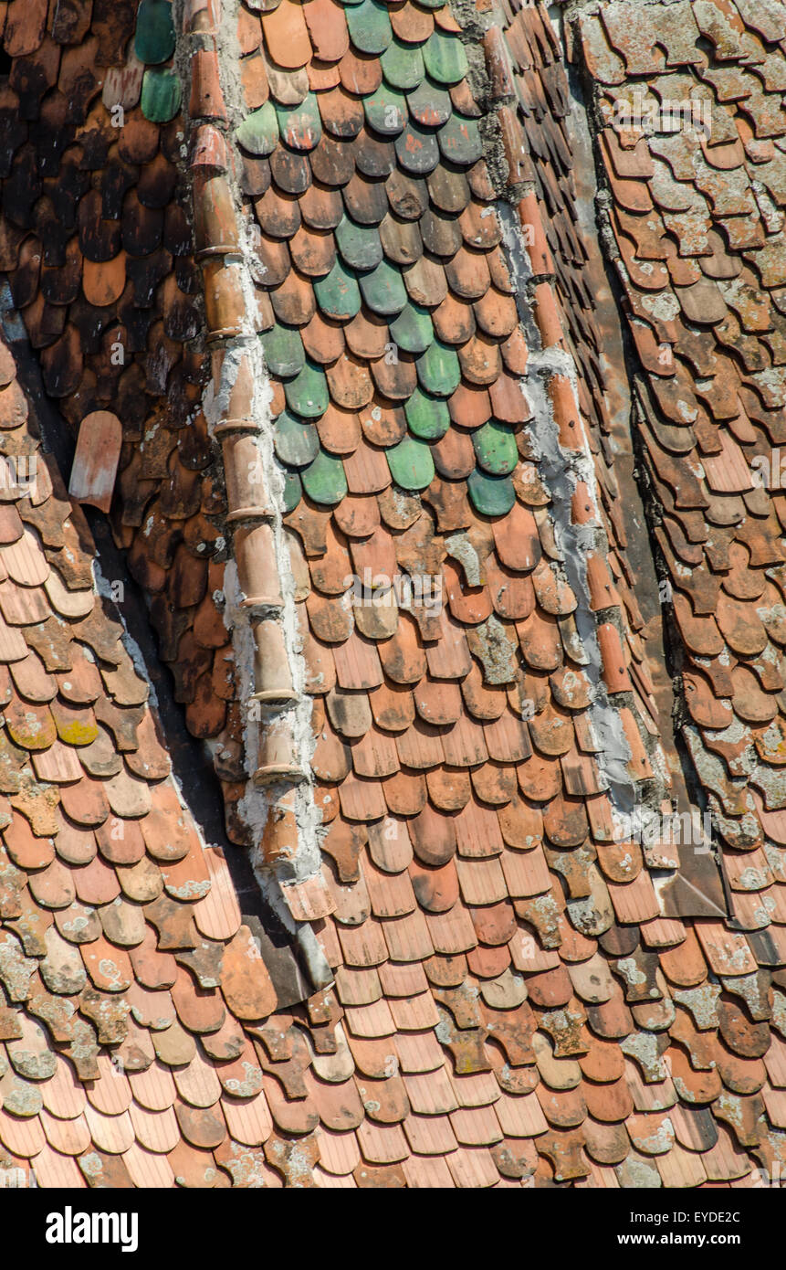 Sighișoara Historic rooftops showcase unique architecture in a charming ...