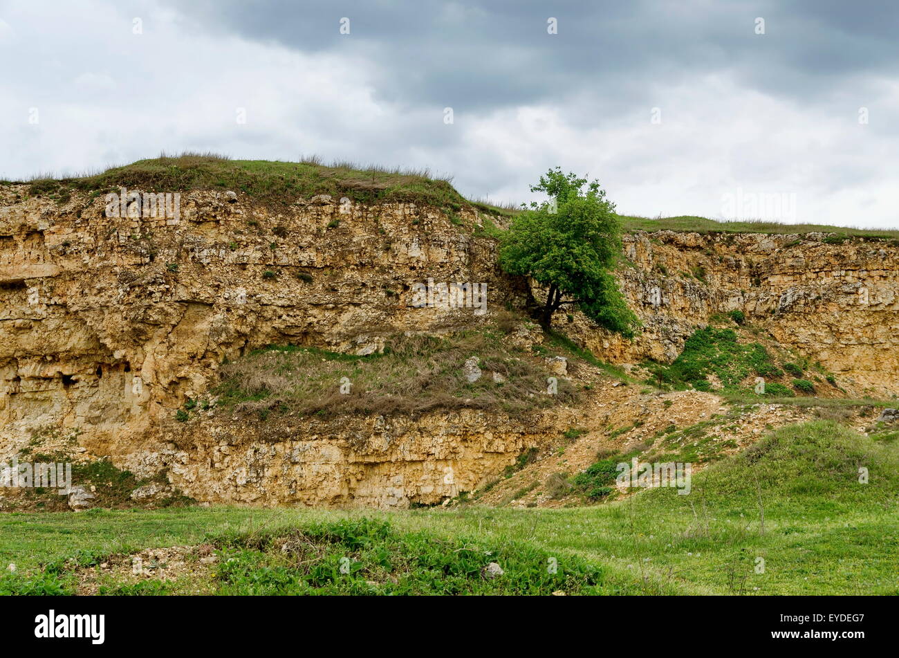 Agriculture grasse hi-res stock photography and images - Alamy