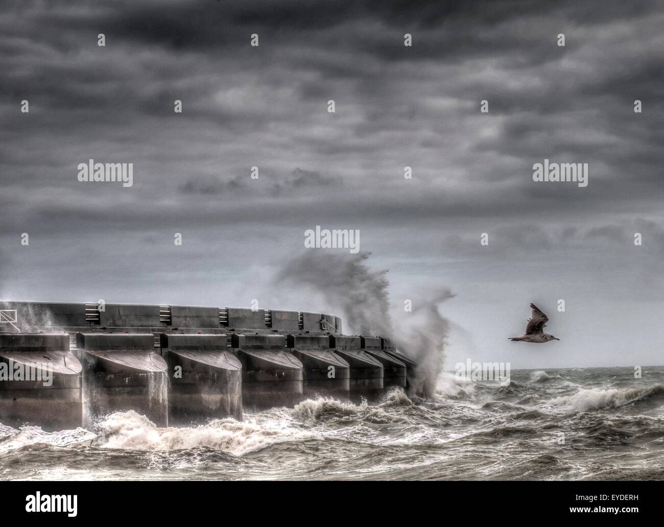 Alamy hi-res stock photography and images - Alamy
