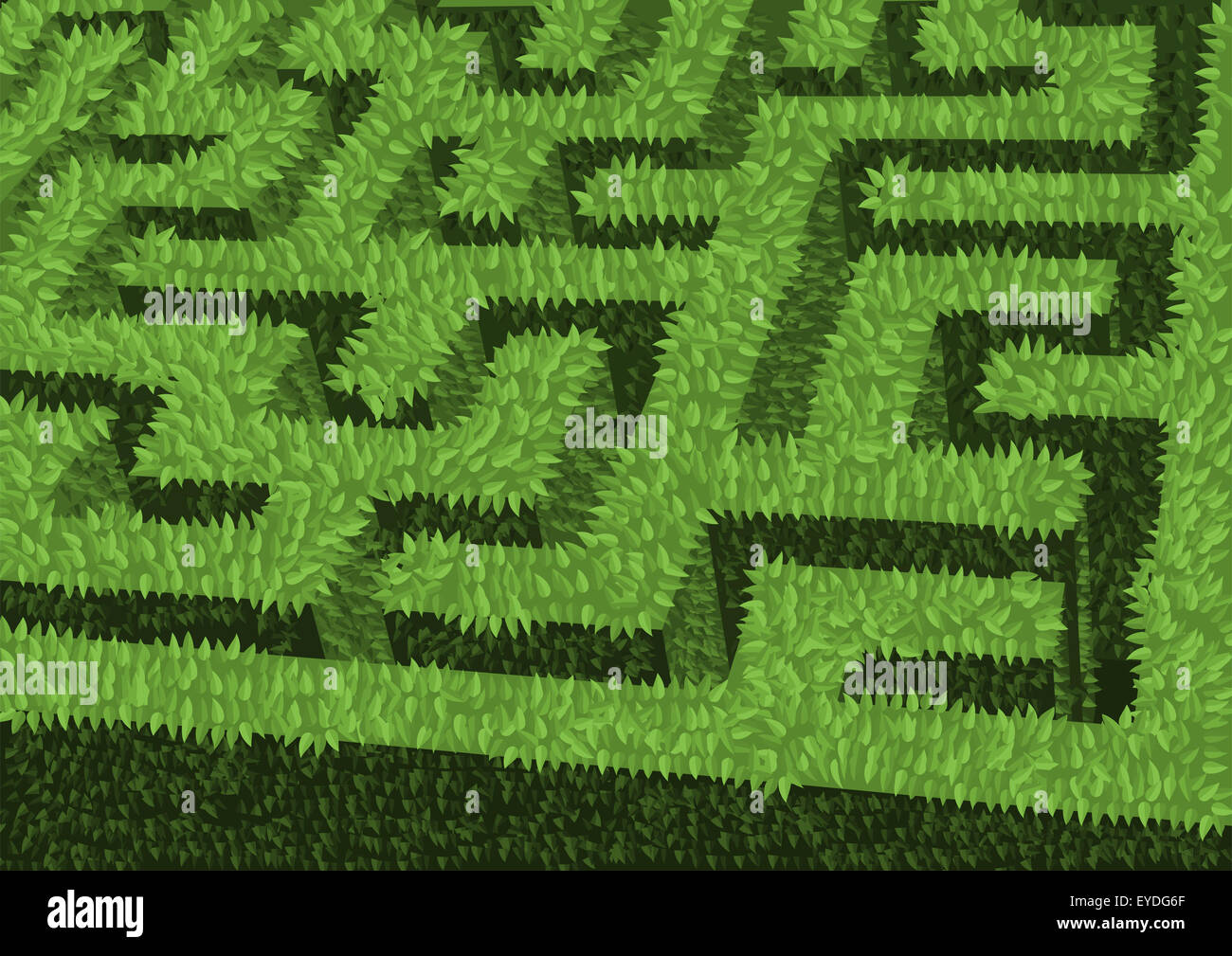 green maze. green hedge flowerbed as maze Stock Photo - Alamy