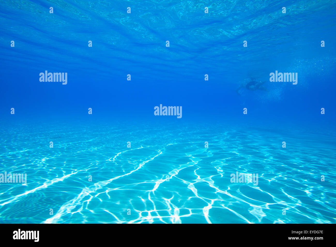 Man Swimming In The Pells Pool, Lewes, East Sussex, Uk Stock Photo - Alamy