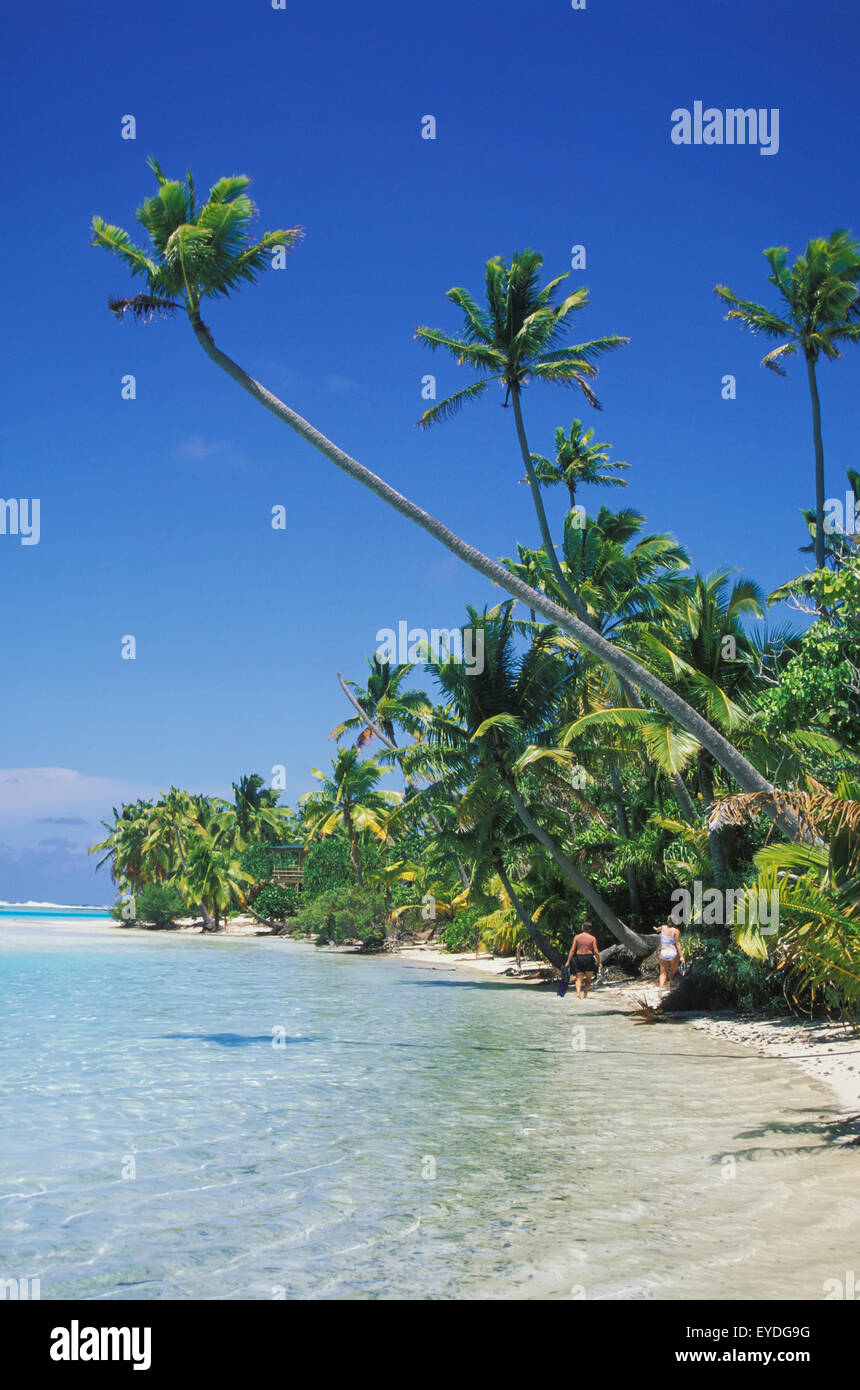 Palm Trees And Beach Aitutaki Lagoon, Cook Islands Stock Photo - Alamy