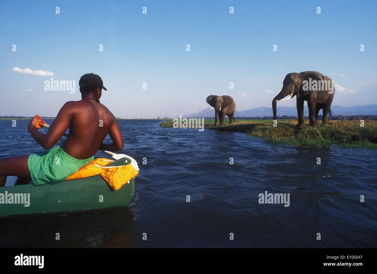 Zimbabwe native people hi-res stock photography and images - Alamy