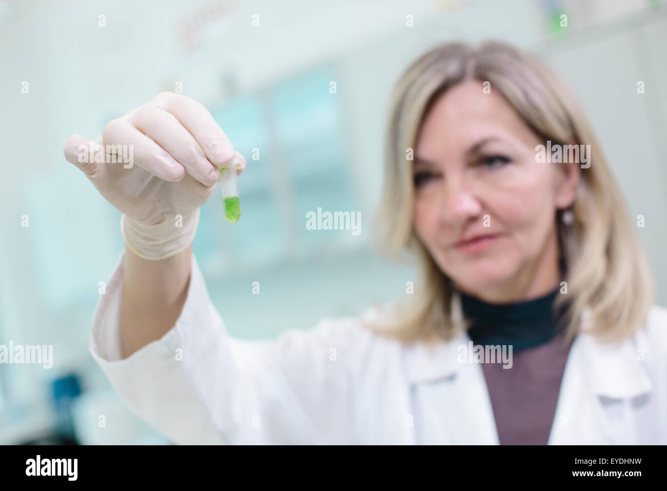 Female scientist examining test tube in laboratory Stock Photo - Alamy