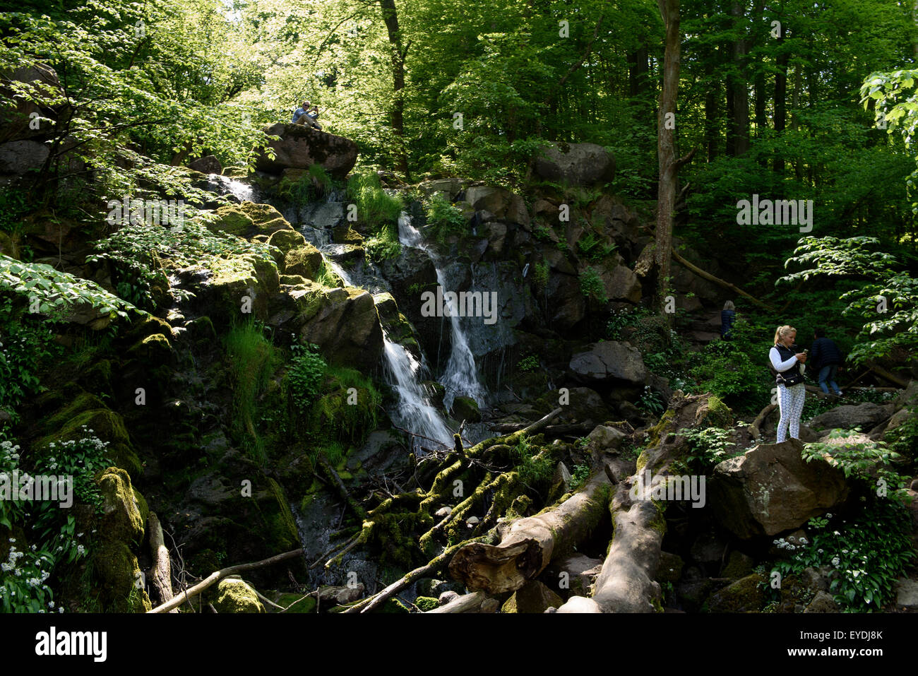 Water waterfall nature hi-res stock photography and images - Alamy