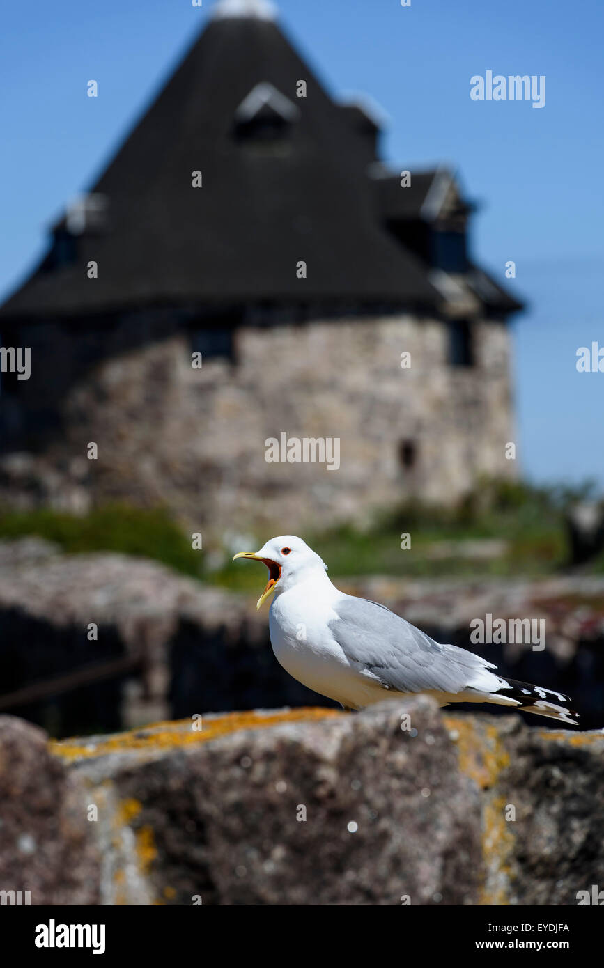 Vogel tower hi-res stock photography and images - Alamy