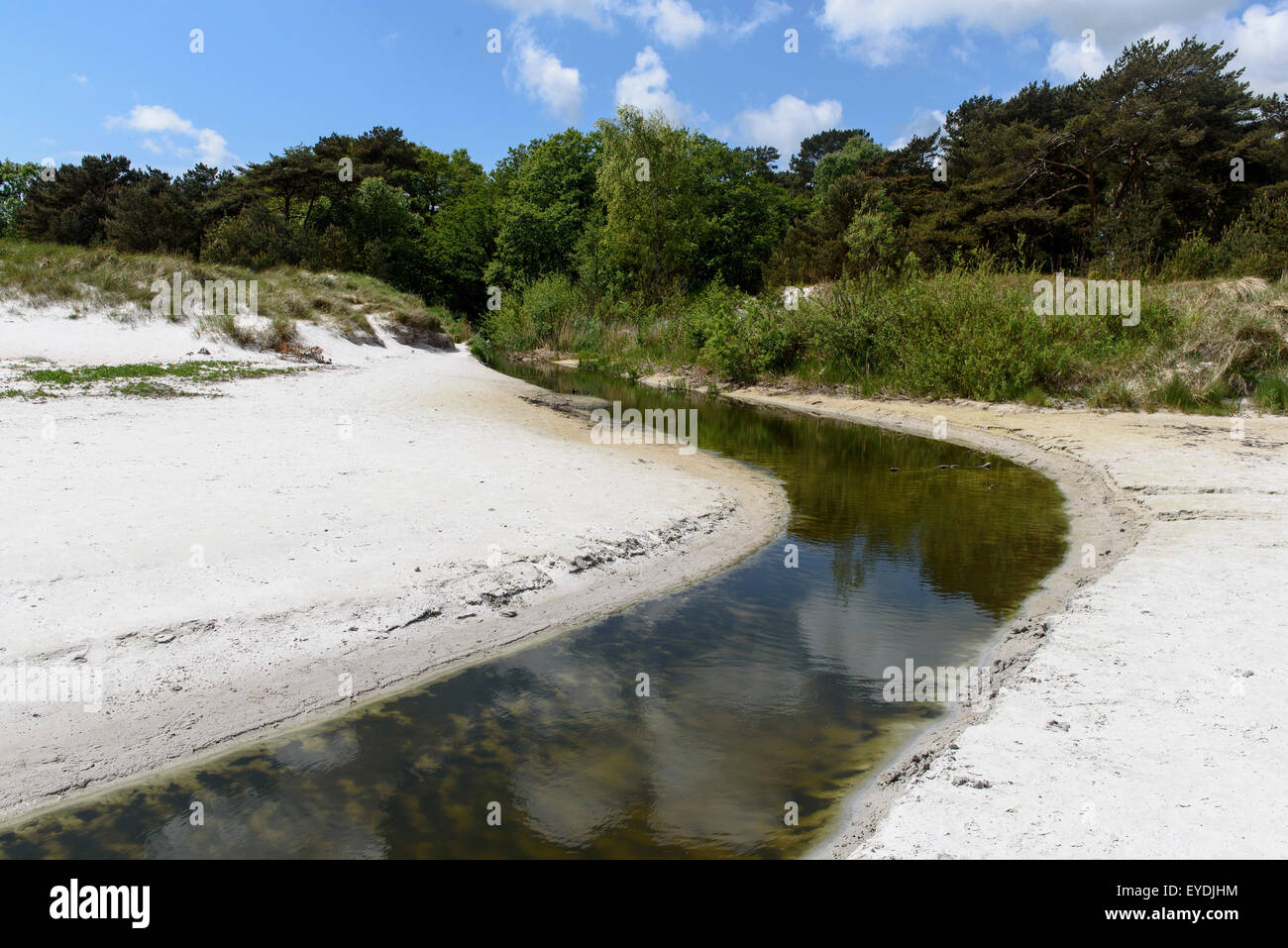 beach at Balka, Isle of Bornholm Denmark Stock Photo - Alamy
