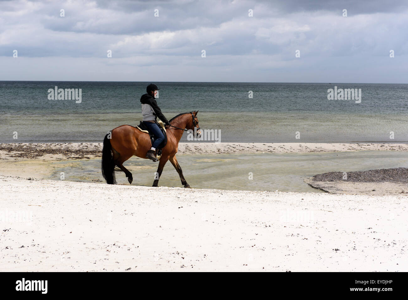 rider, beach at Balka, Isle of Bornholm Denmark Stock Photo - Alamy