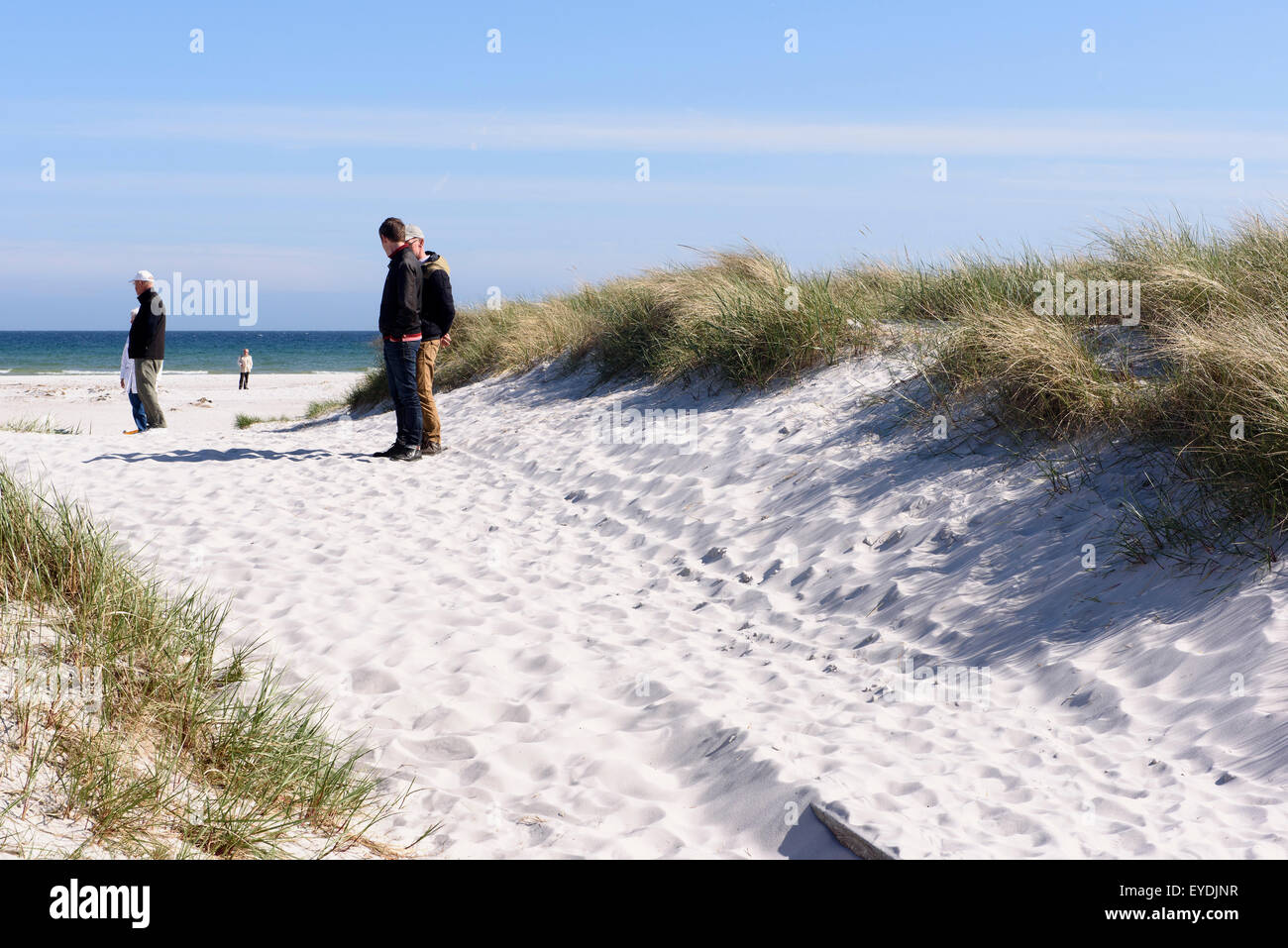 dunes of Dueodde, Isle of Bornholm Denmark Stock Photo - Alamy
