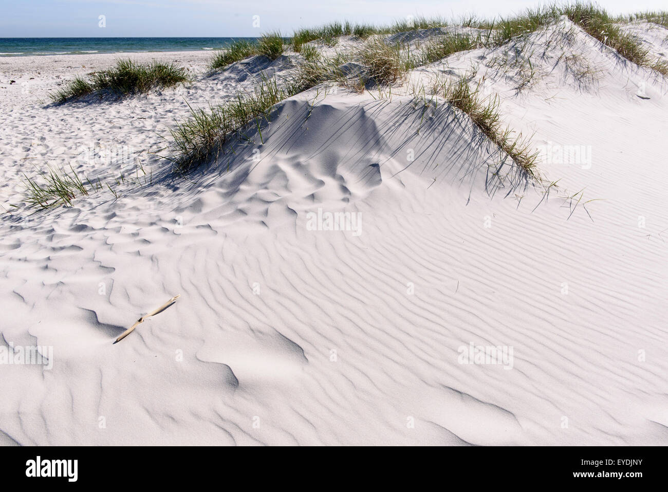 dunes of Dueodde, Isle of Bornholm Denmark Stock Photo - Alamy