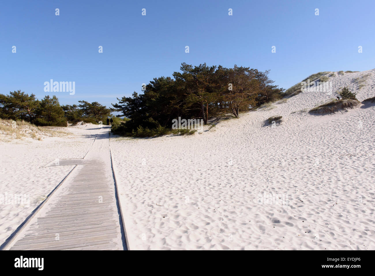 dunes of Dueodde, Isle of Bornholm Denmark Stock Photo - Alamy