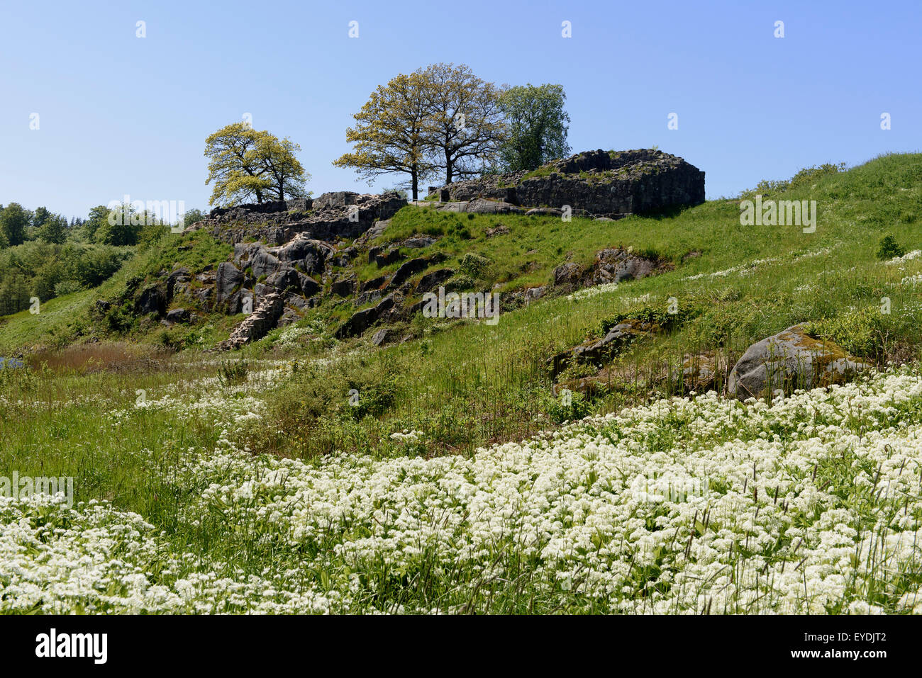 castle ruin Lilleborg (12.c.), Isle of Bornholm Denmark Stock Photo - Alamy