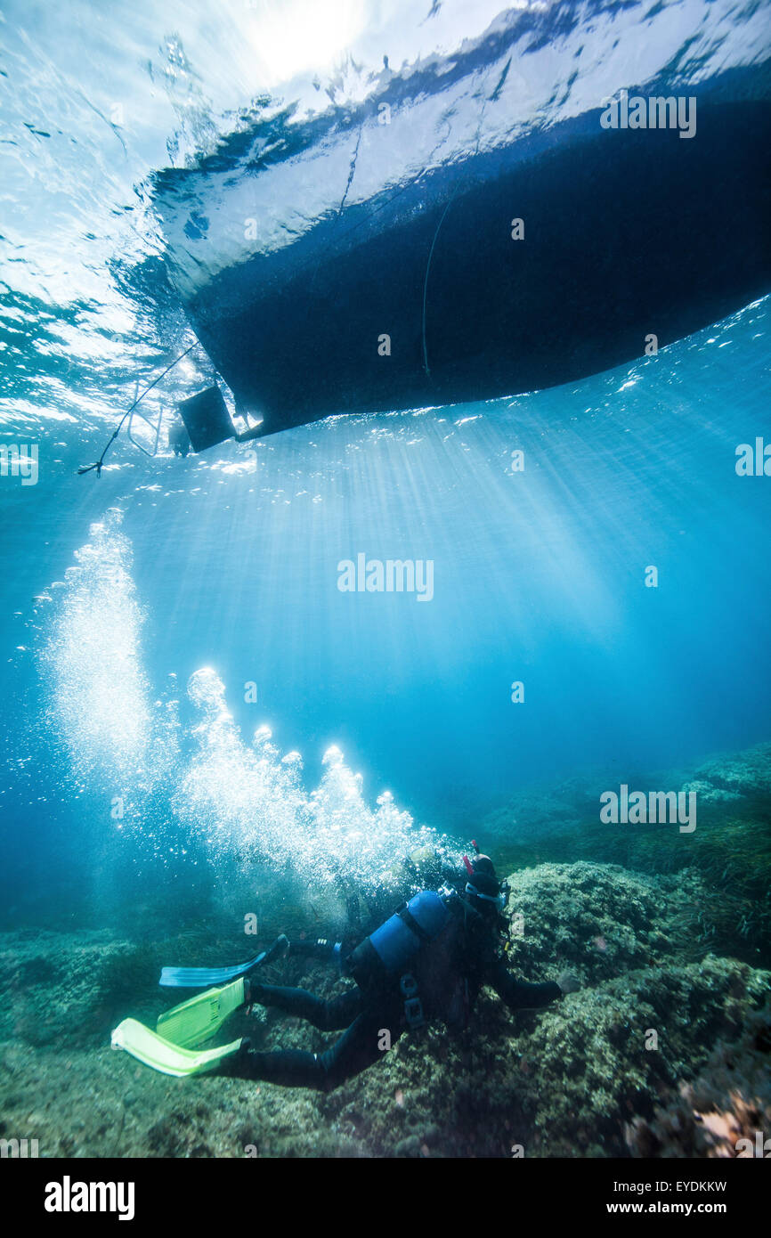 Scuba diver exploring sea life, Adriatic Sea, Dalmatia, Croatia Stock ...