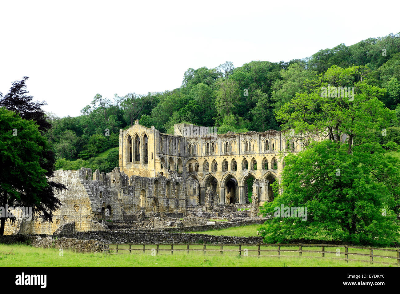 Medieval monasteries england hi-res stock photography and images - Alamy