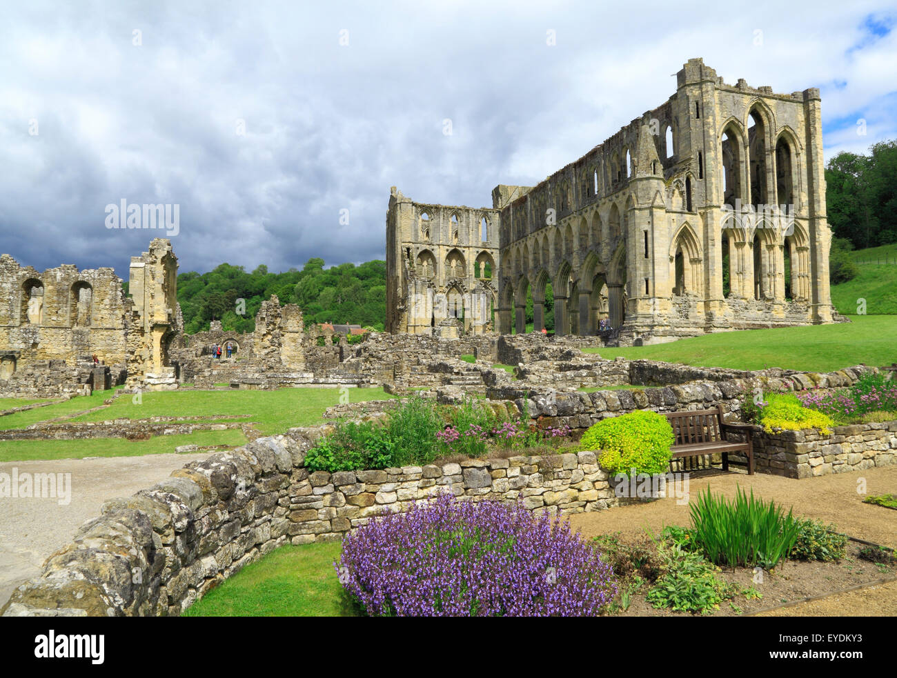 Rievaulx Abbey, Medieval Cistercian monastery, monastic ruins, English ...