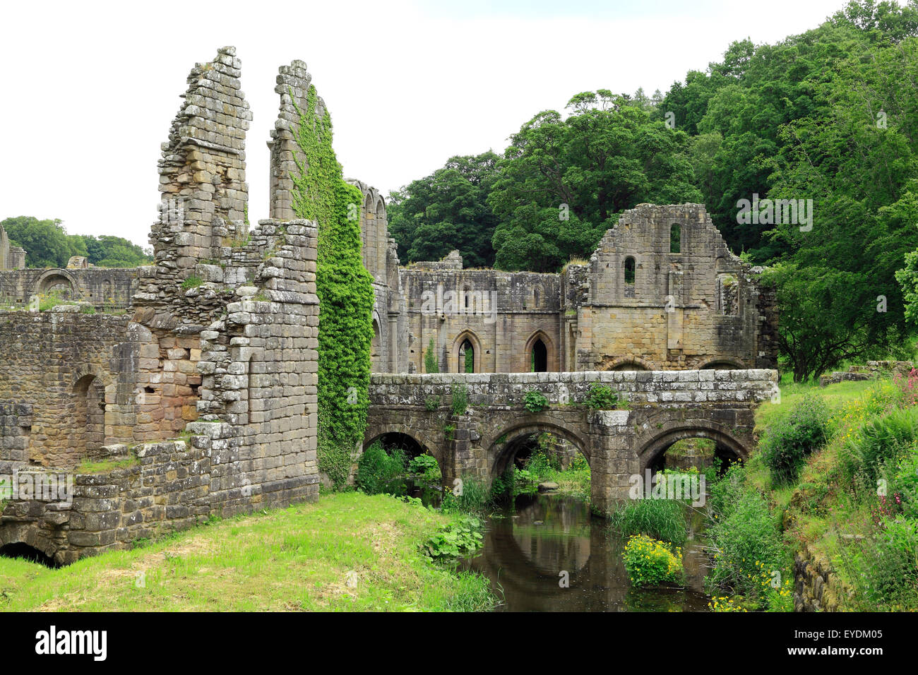 Fountains Abbey, medieval Cistercian monastery, monastic ruins, English ... Fountains Abbey, medieval Cistercian monastery, monastic ruins, English ...