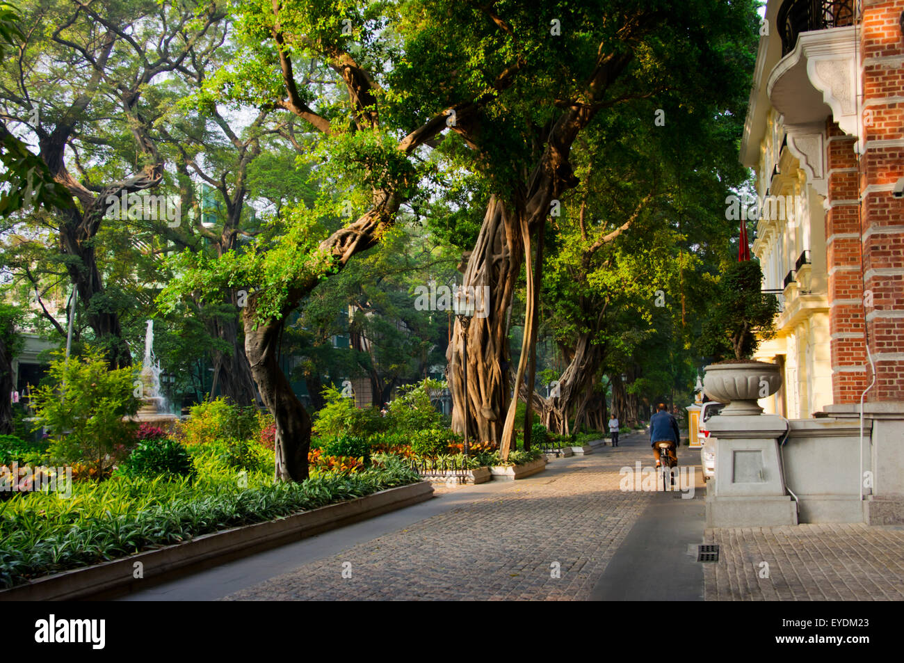 Guangzhou Shamian Park High Resolution Stock Photography and Images - Alamy