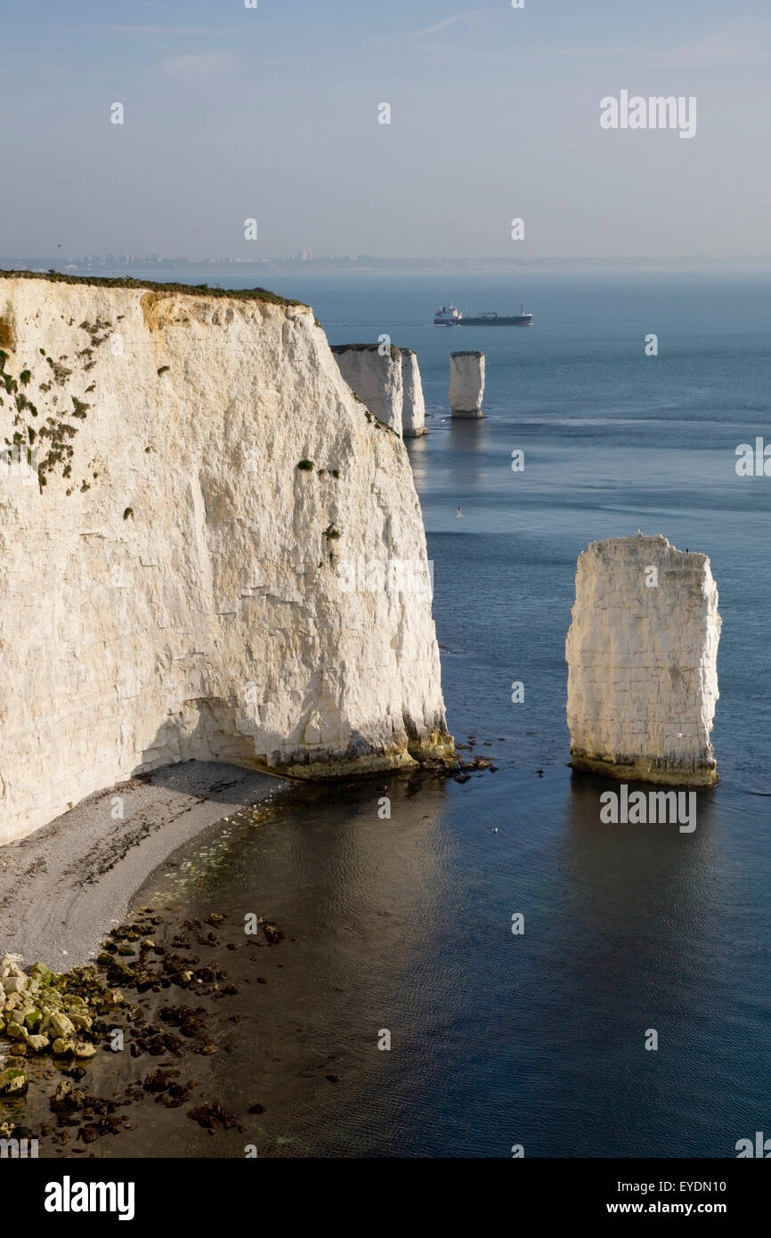 United Kingdom, England, Dorset, Cliffs; Studland Stock Photo - Alamy