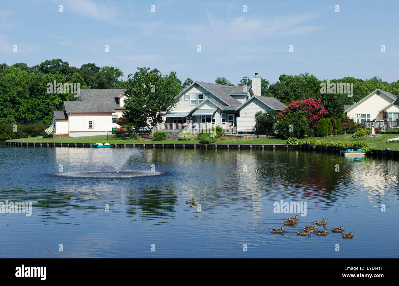 Parade of ducks float down a lake past a fountain and waterfront home ...