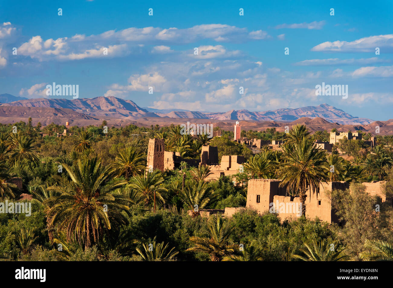 Morocco, seen from roof of Dar Ahlam Hotel; Skoura, Skoura Oasis with ...