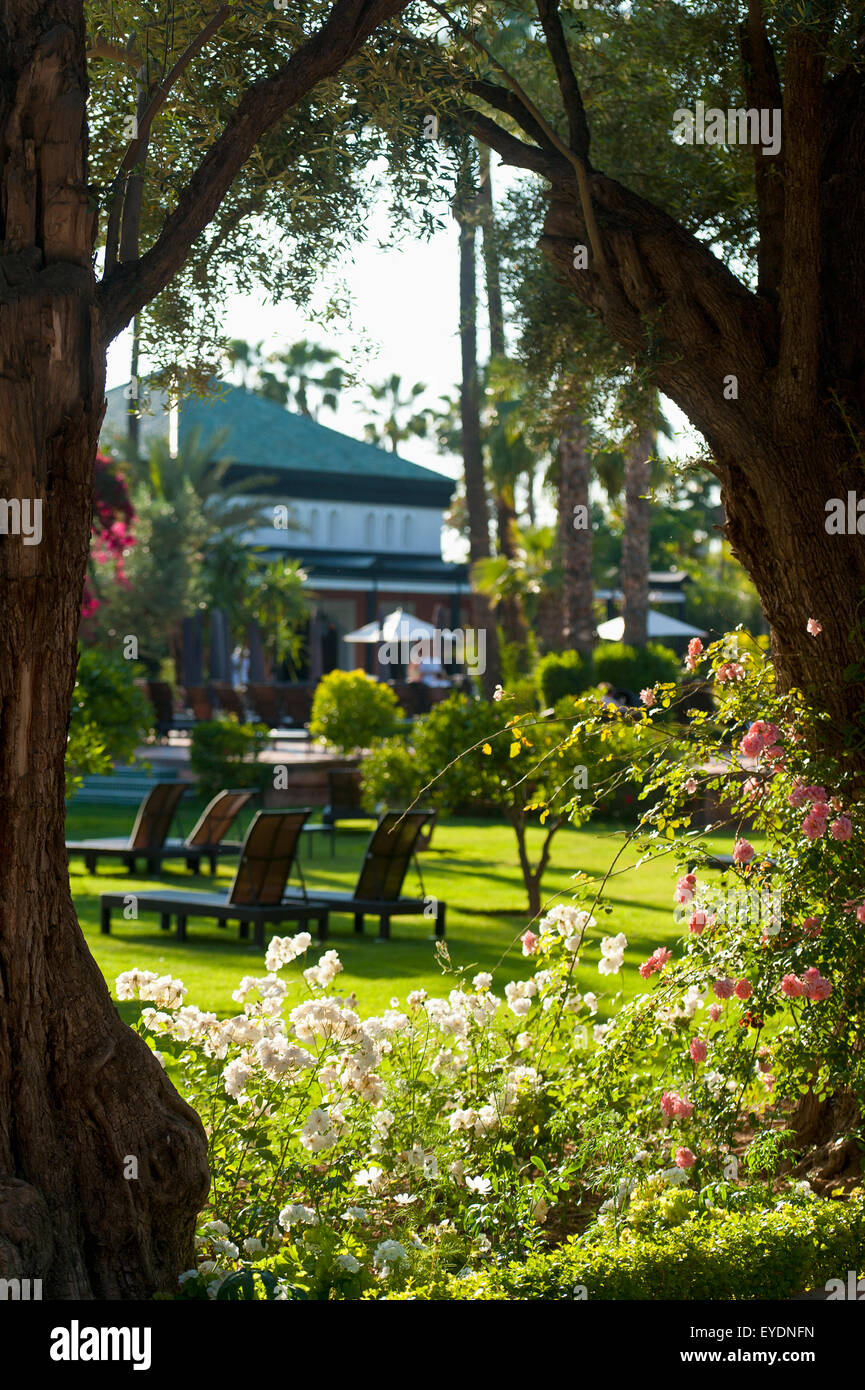 Morocco, View of summer garden; Marrakech Stock Photo - Alamy