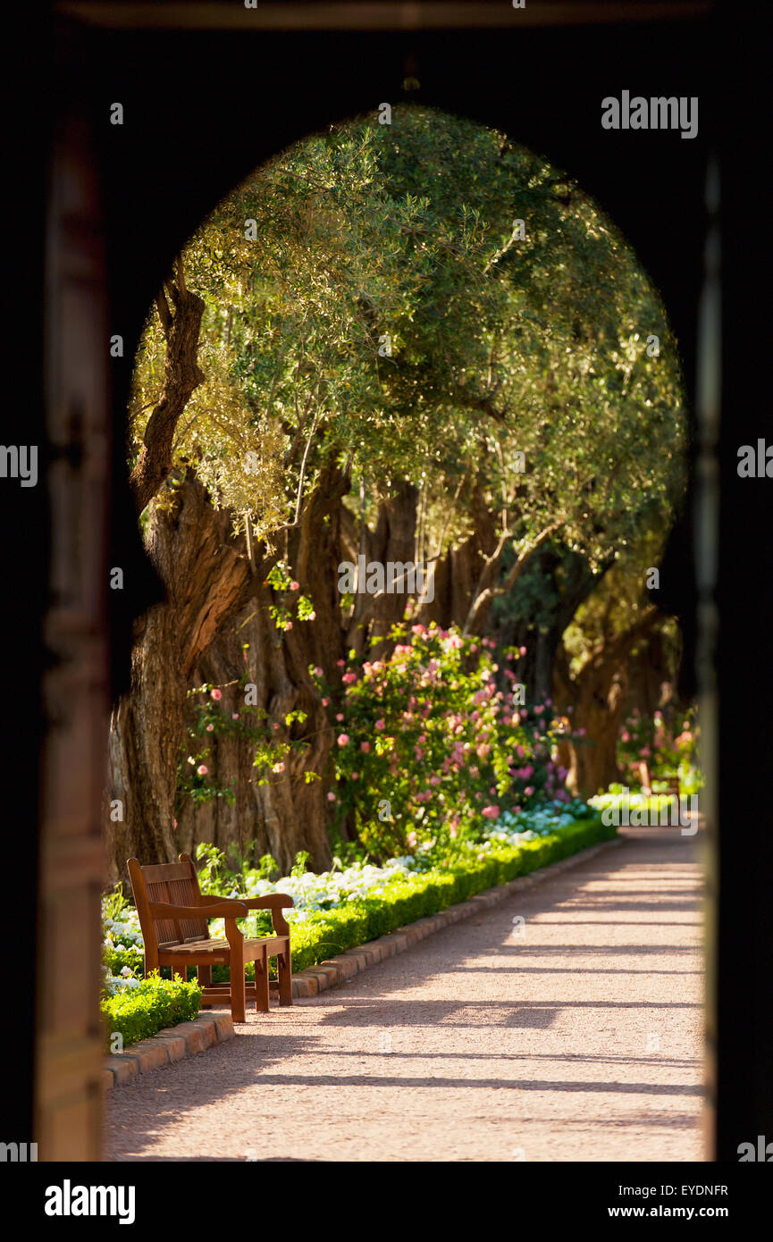 Morocco, View of summer garden; Marrakech Stock Photo - Alamy